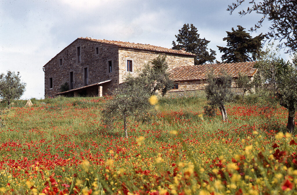 Informationen zu Sep Ruf – Sep Ruf Gesellschaft e.V.